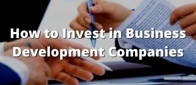How Do Business Development Companies Work?